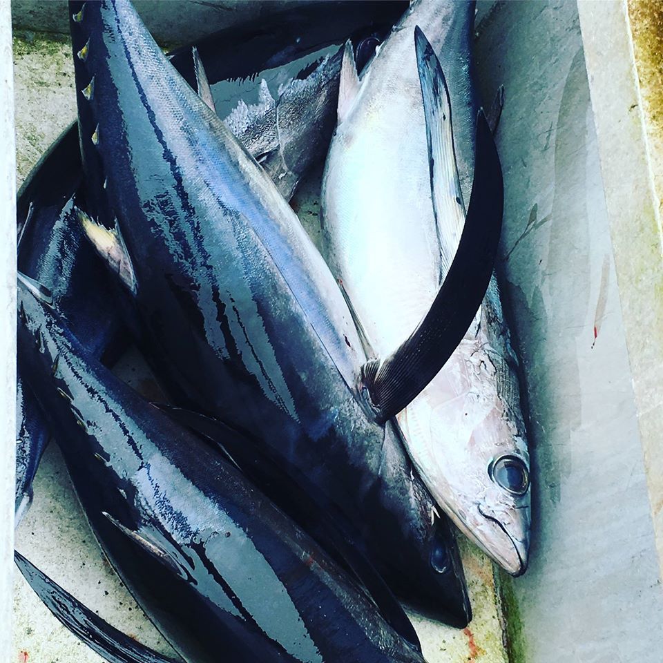 Tournament Info – Oregon Tuna Classic